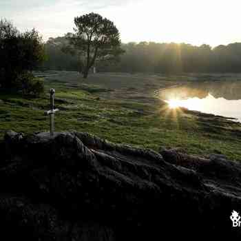 Le lac de Trémelin | Guide de Brocéliande