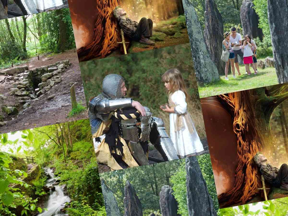 Forêt de Paimpont / Brocéliande - Brocéliande en Bretagne