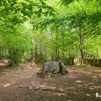 Le Tombeau de Merlin | Guide de Brocéliande