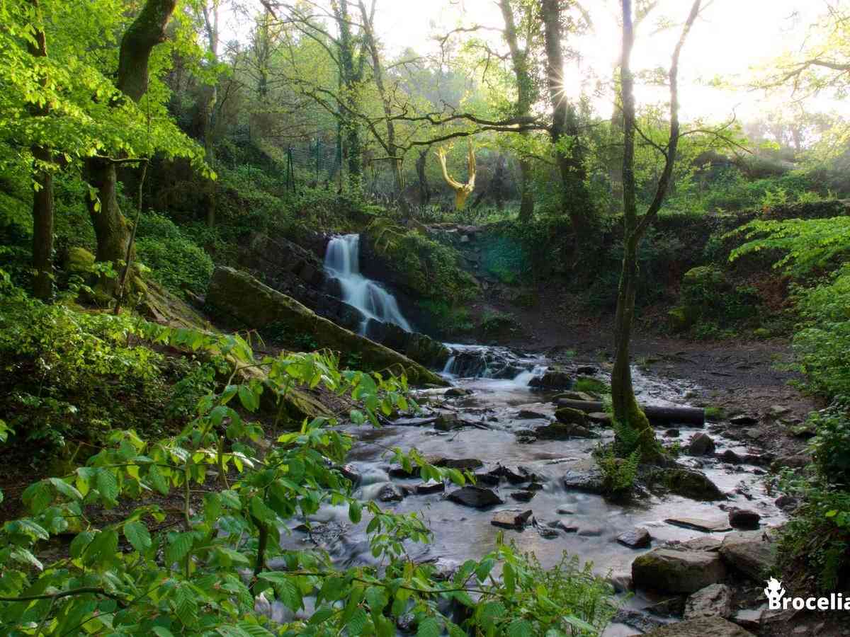 La fontaine de Barenton | Guide de Brocéliande