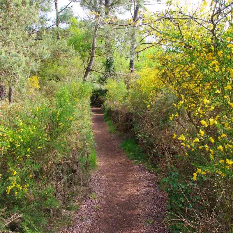 Le Tombeau de Merlin | Guide de Brocéliande