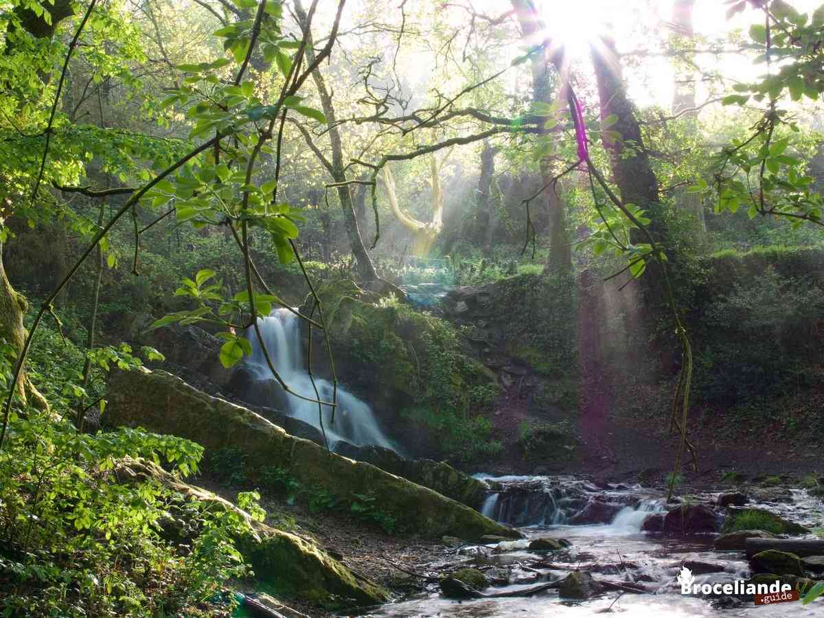 Merlin en Brocéliande | Guide de Brocéliande