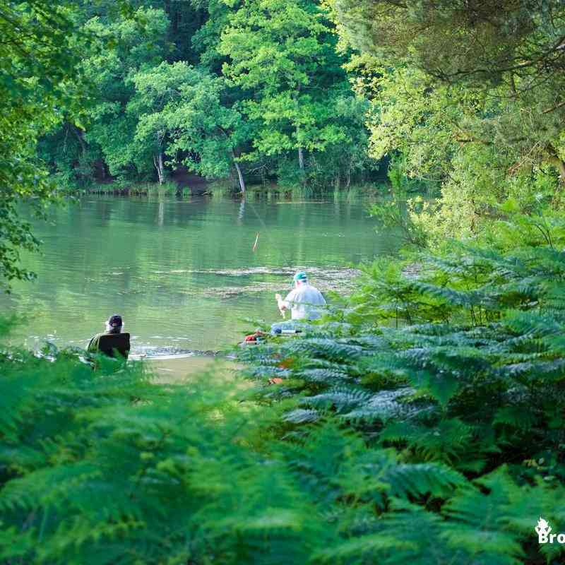 Le lac de Trémelin | Guide de Brocéliande