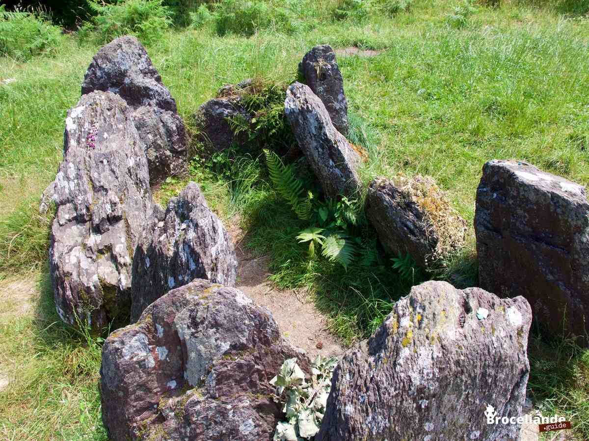 Le Tombeau de Merlin | Guide de Brocéliande