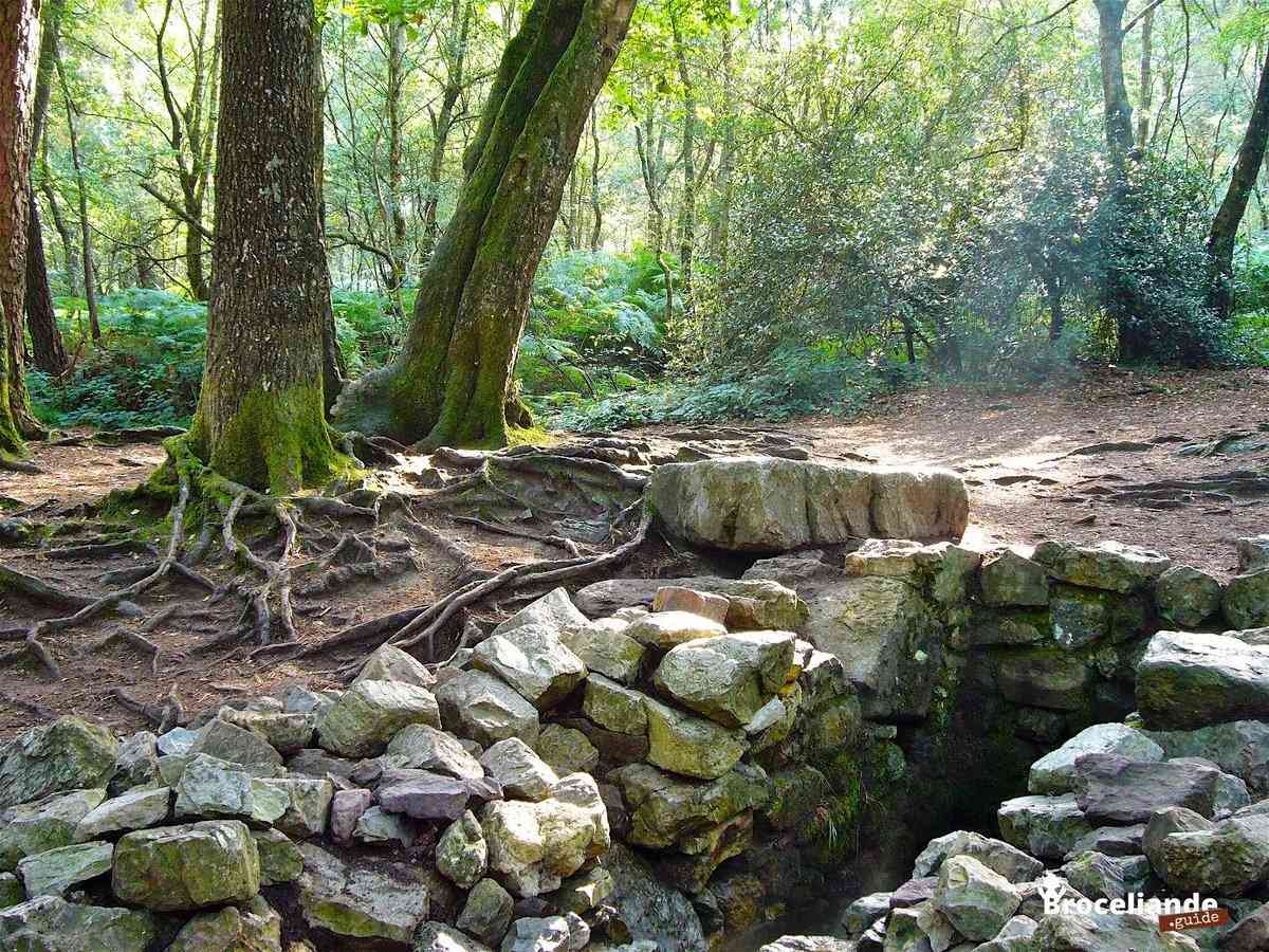 La fontaine de Barenton | Brocéliande en Bretagne