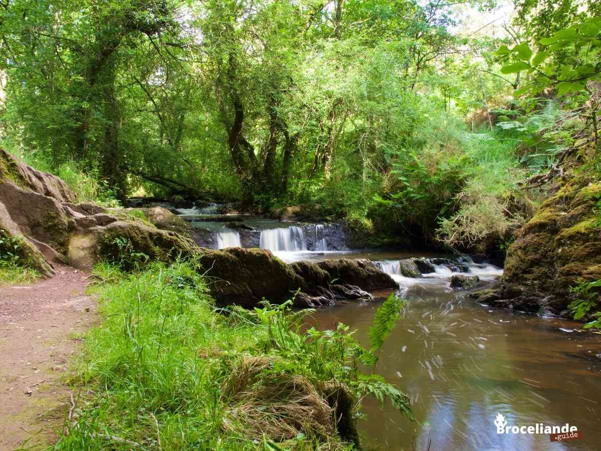 Visiter Brocéliande en Bretagne
